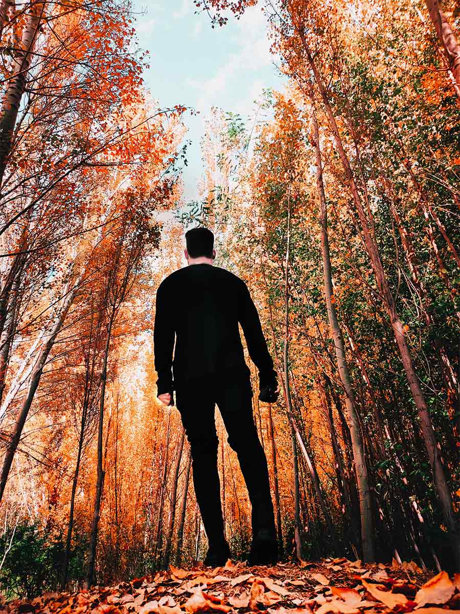 The Pioneer Place - Come - BLAZE a Trail